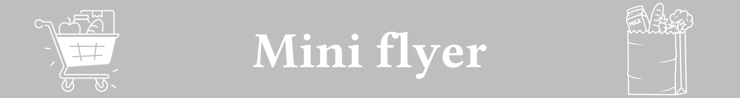 Mini Flyer